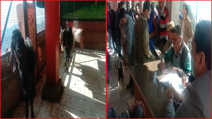 Himachal Pradesh - 1600x900 Wallpaper - teahub.io