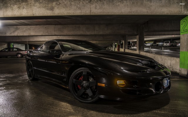 4k Wallpaper Trans Am - 2560x1600 Wallpaper - teahub.io