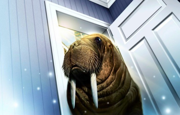 Robbaz Walrus Wallpaper