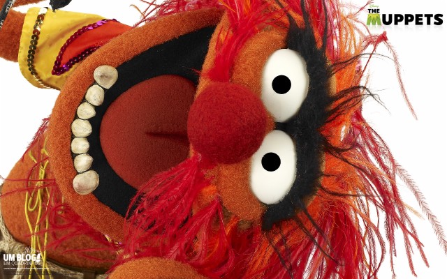 Animal Muppet Wallpaper