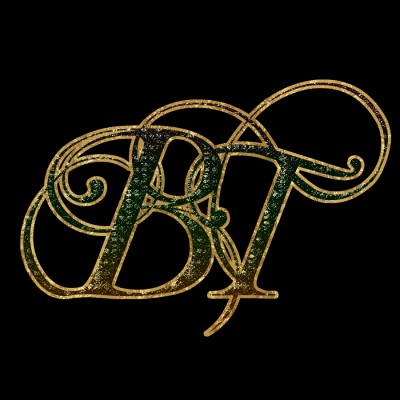 Bt Letter Logo - Bronze - 900x900 Wallpaper - teahub.io