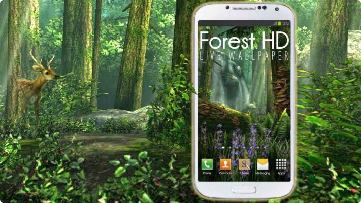 Forest Live Wallpapers 3d - 1164x776 Wallpaper - teahub.io