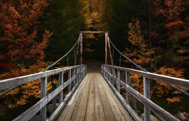 Photo Wallpaper Autumn, Forest, Bridge - Wallpaper - 1332x850 Wallpaper ...