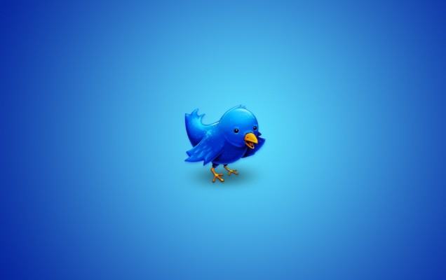 Twitter Bird Wallpapers - Twitter Sparrow - 1280x804 Wallpaper - teahub.io