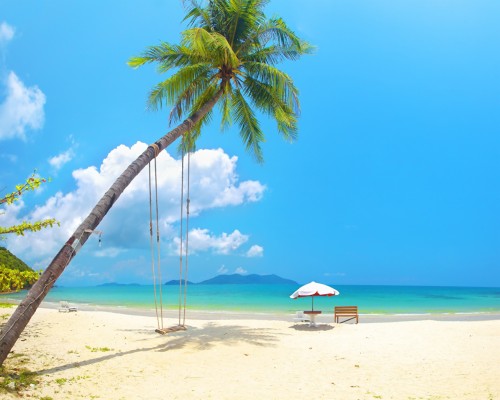 Plage Avec Cocotier - 1280x1024 Wallpaper - teahub.io