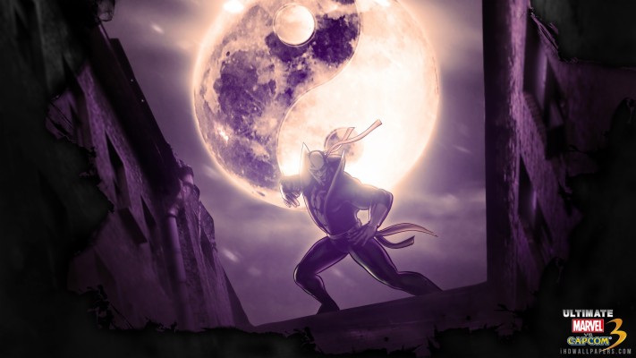 Capcom - Darkstalkers Felicia Concept Art - 728x827 Wallpaper - teahub.io