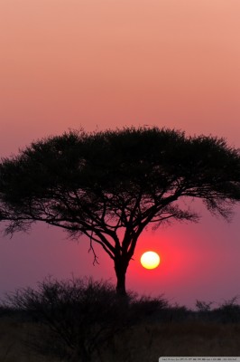 Namibia Wallpaper Hd - 640x960 Wallpaper - teahub.io