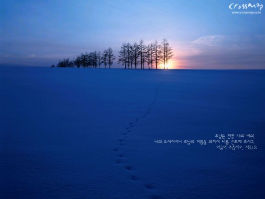 Crossmap Wallpaper - Crossmap - 1024x768 Wallpaper - teahub.io