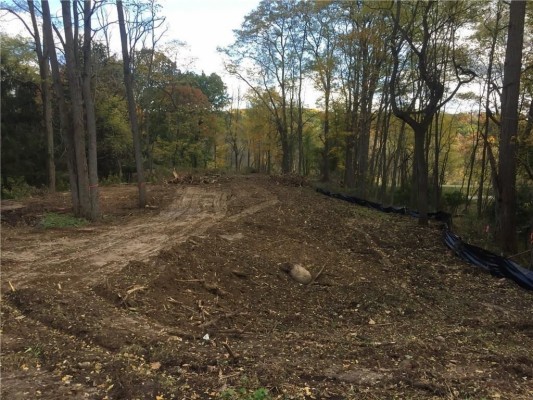 Harris Wallpaper Cutting Guide - 800x800 Wallpaper - teahub.io