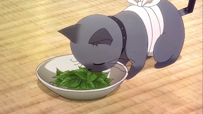 Anime, Sankarea, Rea Sanka - 1634x768 Wallpaper - teahub.io