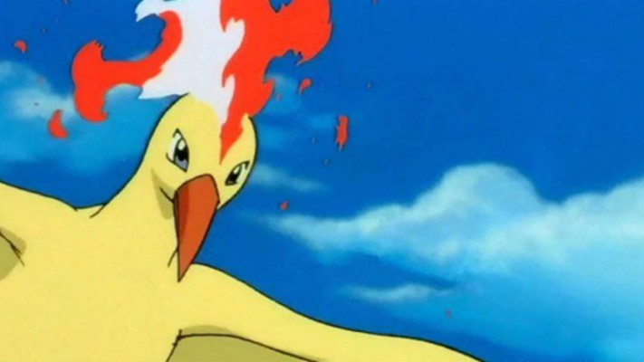 Moltres Anime - 1920x1080 Wallpaper - teahub.io
