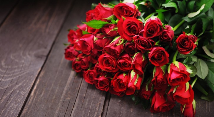 Roses And Card - 960x527 Wallpaper - teahub.io