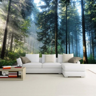 Tropical Forest Wall Painting - 800x800 Wallpaper - teahub.io