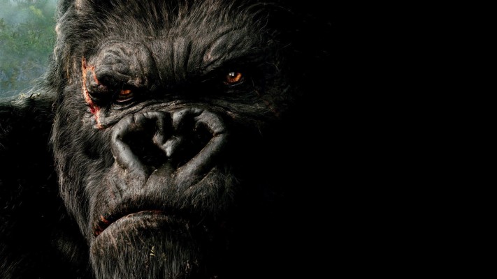 Computer King Kong High Hd Quality Images - King Kong Wallpaper Hd ...