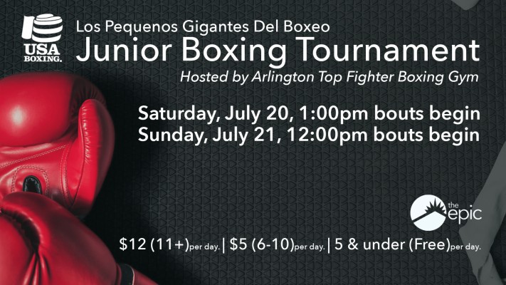 Professional Boxing - 1200x675 Wallpaper - teahub.io