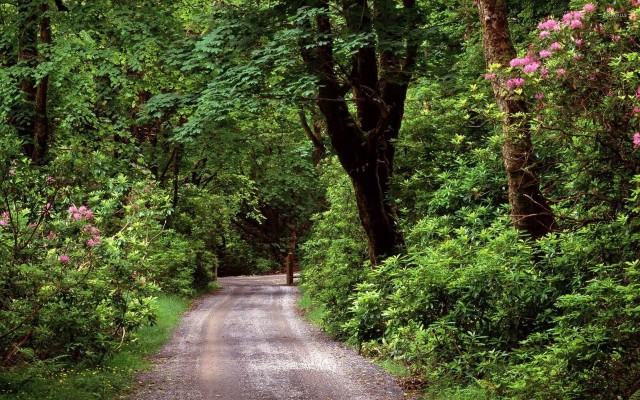 Road Normal Background Hd - 1920x1200 Wallpaper - teahub.io