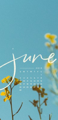 June 2020 Desktop Calendar Wallpapers - Happy Nowruz Wishes 2019 ...