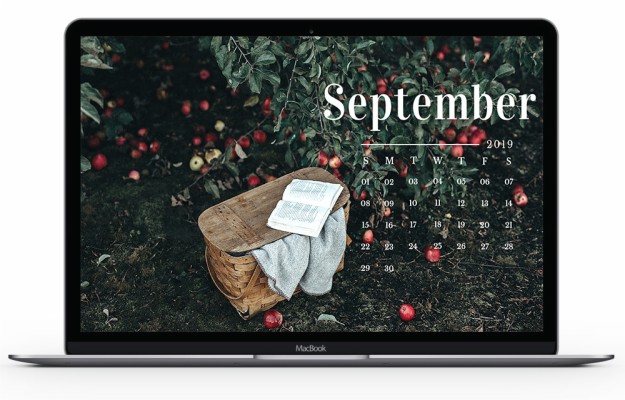 September Wallpaper Iphone 2018 - 1504x2000 Wallpaper - teahub.io