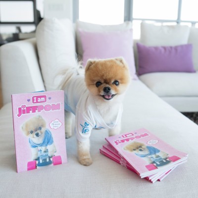 Am Jiffpom Book - 1200x1200 Wallpaper - teahub.io