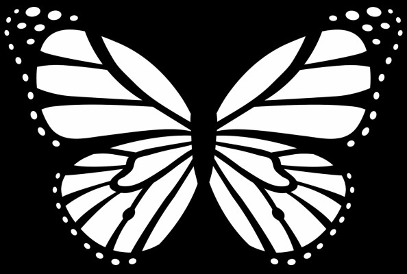Titli Wallpaper - 1920x1080 Wallpaper - teahub.io