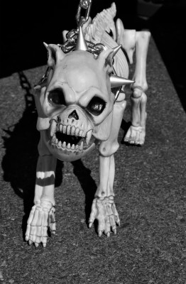 Hellhound Wallpaper - 1280x1024 Wallpaper - teahub.io