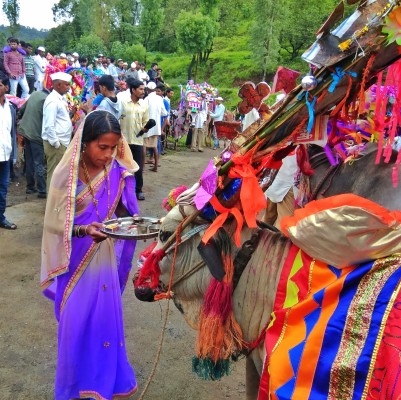 Pola Maharashtra Festivals - 3130x3120 Wallpaper - teahub.io