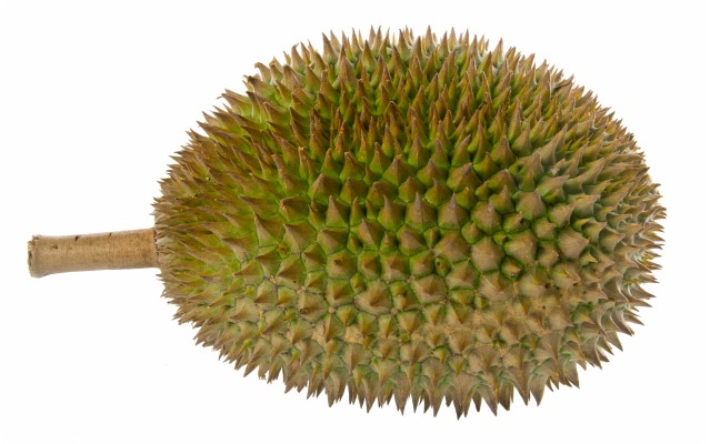 Durian Hd - 1600x1200 Wallpaper - teahub.io