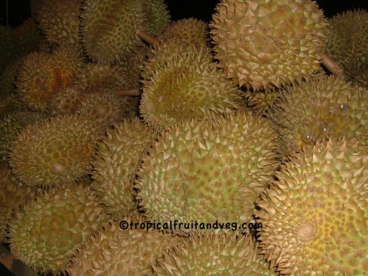 Durian Hd - 1600x1200 Wallpaper - teahub.io