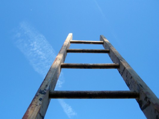 Ladder Of Life - 1024x768 Wallpaper - teahub.io