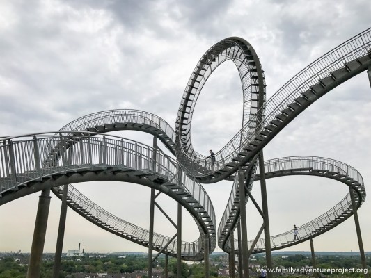 Tiger And Turtle Walking Coaster - 1024x768 Wallpaper - teahub.io