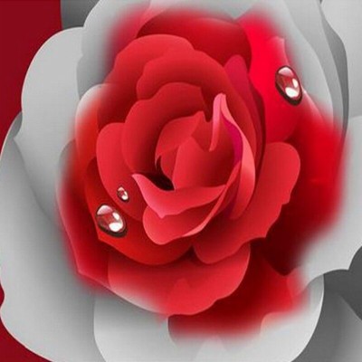 Rosas Rojas Wallpaper - Imagenes De Rosas Rojas En El Cielo - 1920x1200 ...