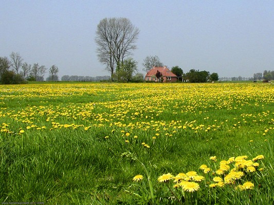 Spring Fields Wallpaper - Desktop Background Country Spring - 1920x1200 ...