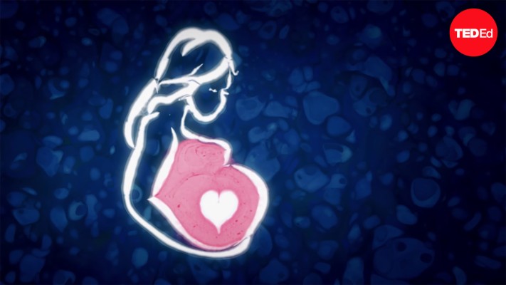 Tedx - 1920x1080 Wallpaper - teahub.io