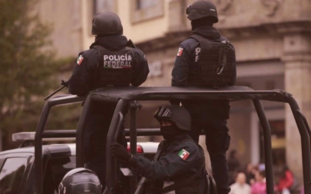 Policia Federal Wallpaper - 1024x768 Wallpaper - teahub.io