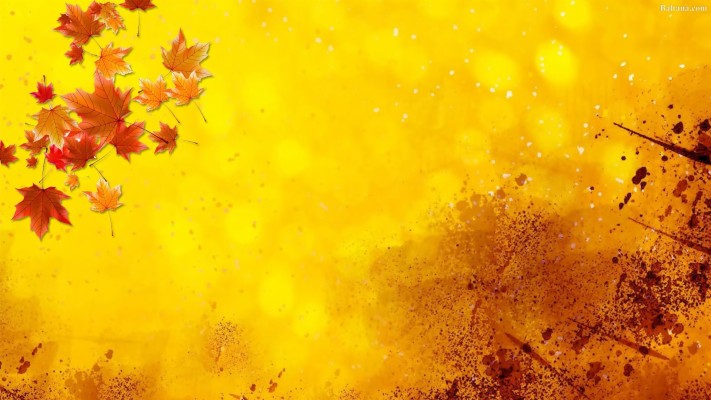 Real Autumn Leaves Png - 1920x1080 Wallpaper - teahub.io