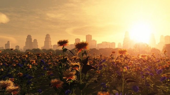 Distant City Wallpaper - Distant City Background - 1600x900 Wallpaper ...