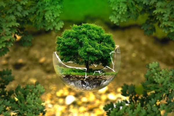 Photo Wallpaper Ecology, Technology, Environmental - Environment ...