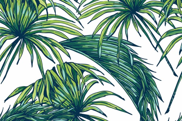 Gold Green Palm Leaf Wallpaper B&q - 800x800 Wallpaper - teahub.io