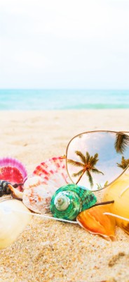 Creative Nature Hd Wallpapers - Different Perspectives Of The World ...