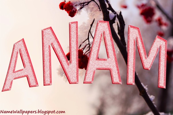 Ruchi Name Wallpaper - Meaning Of Anum In Urdu - 1600x1062 Wallpaper ...