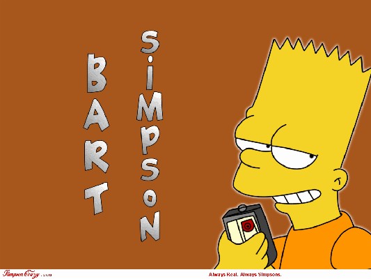 Bart Simpson Name - 1024x768 Wallpaper - teahub.io