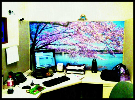 Glam Cubicle Decorating Ideas - 736x981 Wallpaper - teahub.io