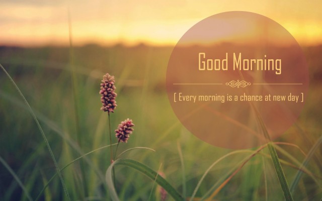 Good Morning Small Quotes - 2560x1600 Wallpaper - teahub.io