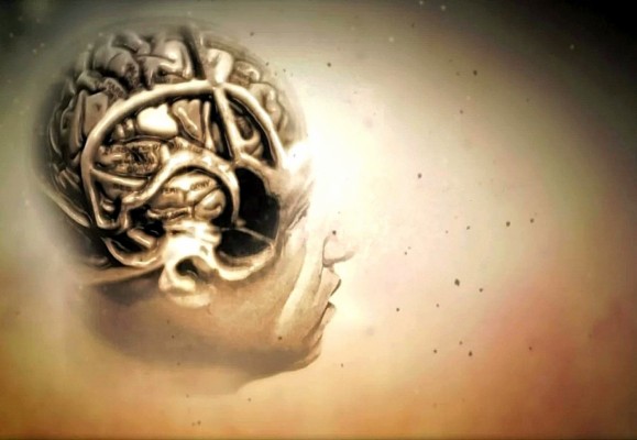 Brain Wallpaper Hd Wallpapersafari - House Md Intro - 1314x907 ...