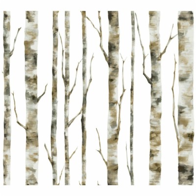 York Wallcoverings Birch Trees - 1000x1000 Wallpaper - teahub.io