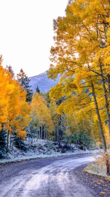 Autumn Winter - Fall - 1080x1920 Wallpaper - teahub.io