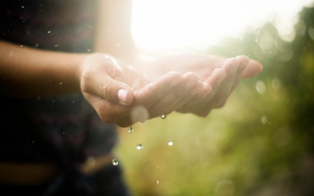 Hand In Rain Hd - 1920x1200 Wallpaper - teahub.io