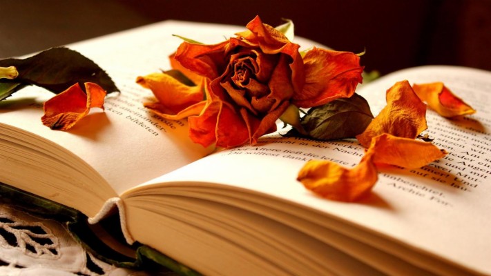 Nice Picture Of Books - 1920x1080 Wallpaper - teahub.io