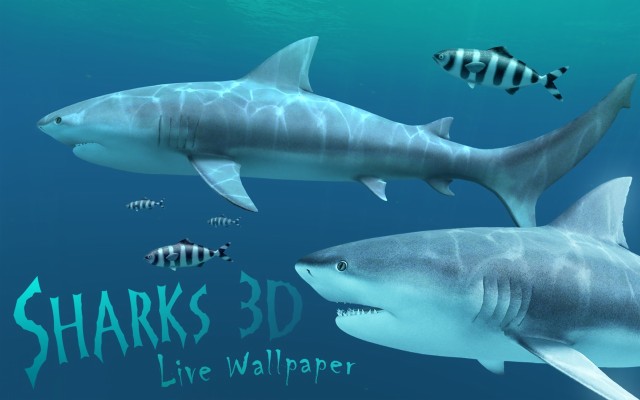 Echo Sharks Live - 1280x720 Wallpaper - teahub.io