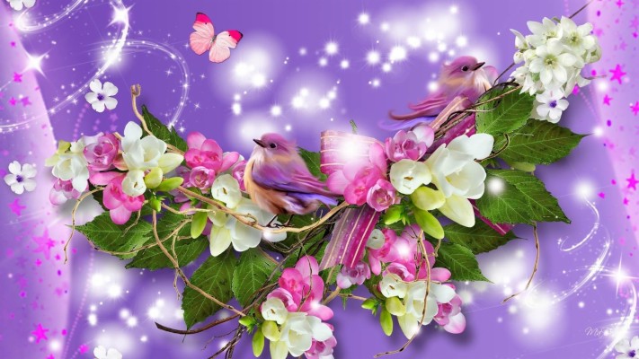 Flower Shine - 1920x1080 Wallpaper - teahub.io